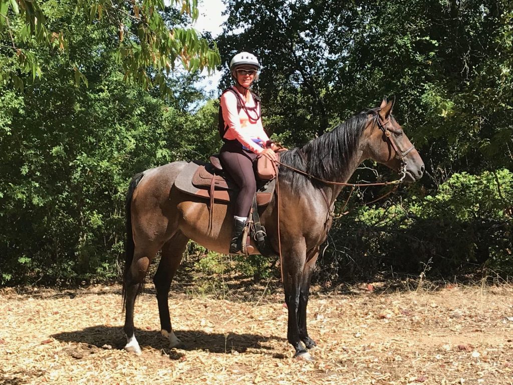 Your Turn: From Rescue to Rehoming: The Story of 5 Rescue Horses ...