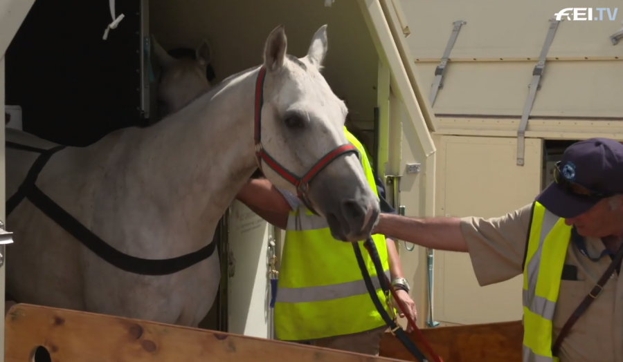 Tuesday Video: Touchdown in Tryon | HORSE NATION
