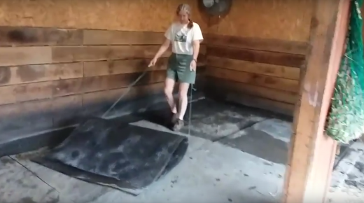 Equestrian Life Hack: How to Move Stall Mats | HORSE NATION