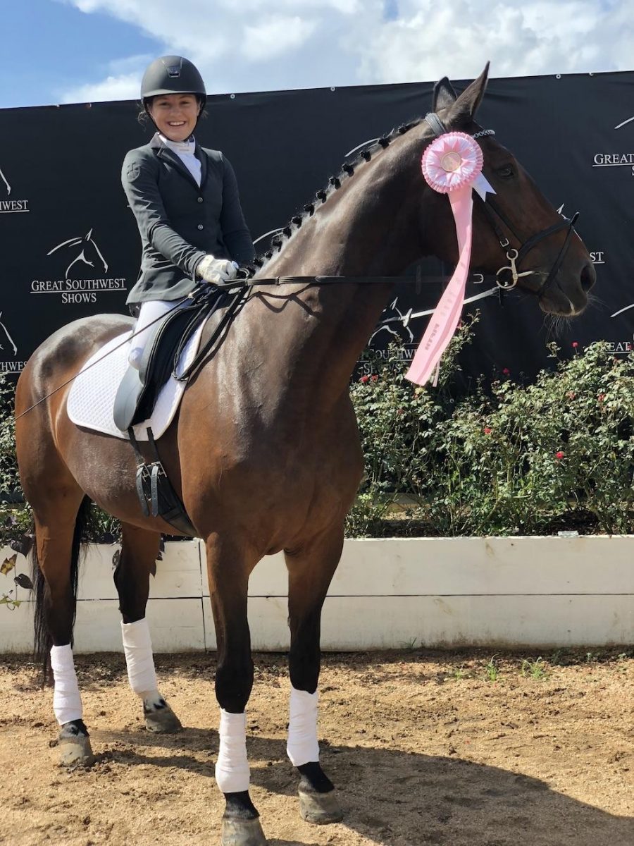 ‘It’s Always a Journey With Horses’: Q&A With Para-Dressage Equestrian ...