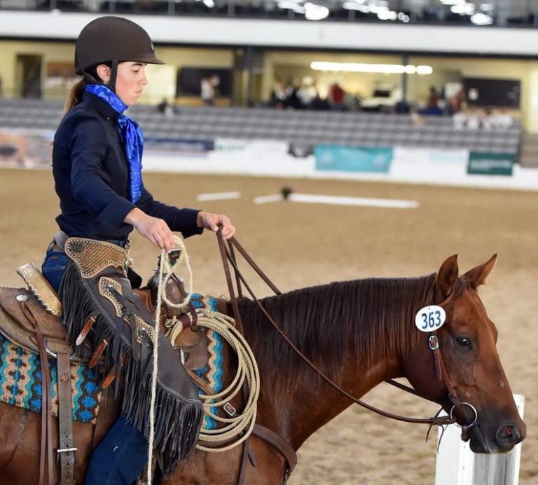 Product Review: CR Ranchwear Italian Cotton Western Shirt | HORSE NATION