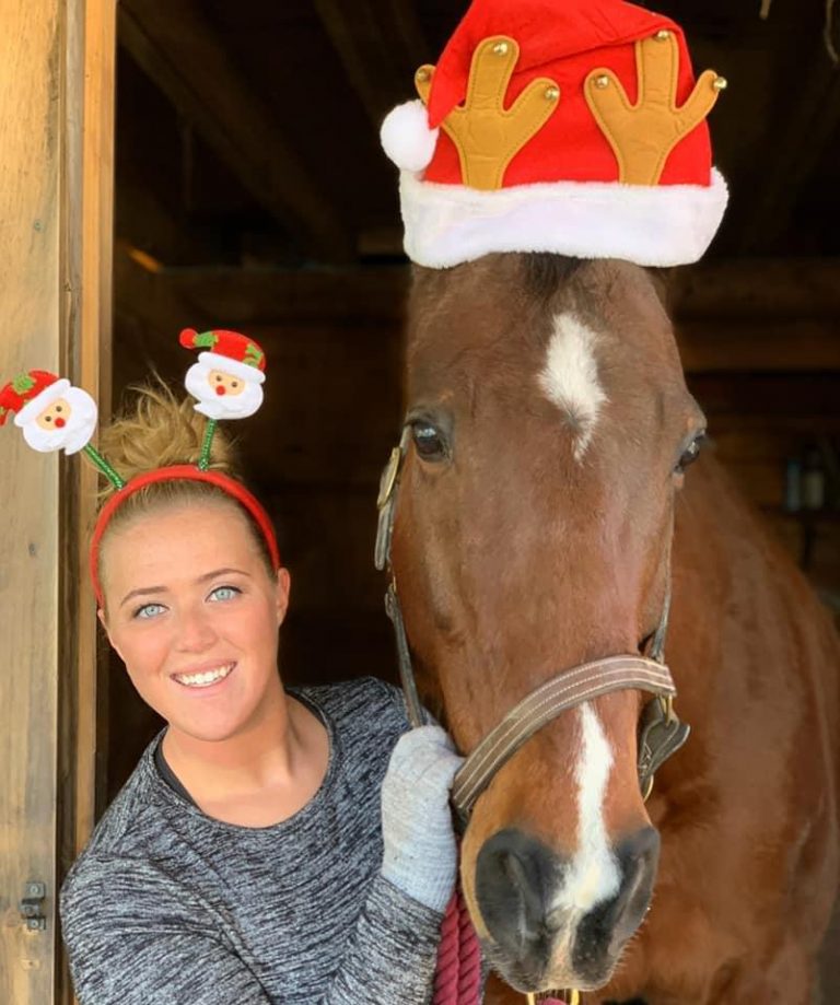 Photo Challenge: 15 Horses Ready For the Holidays | HORSE NATION