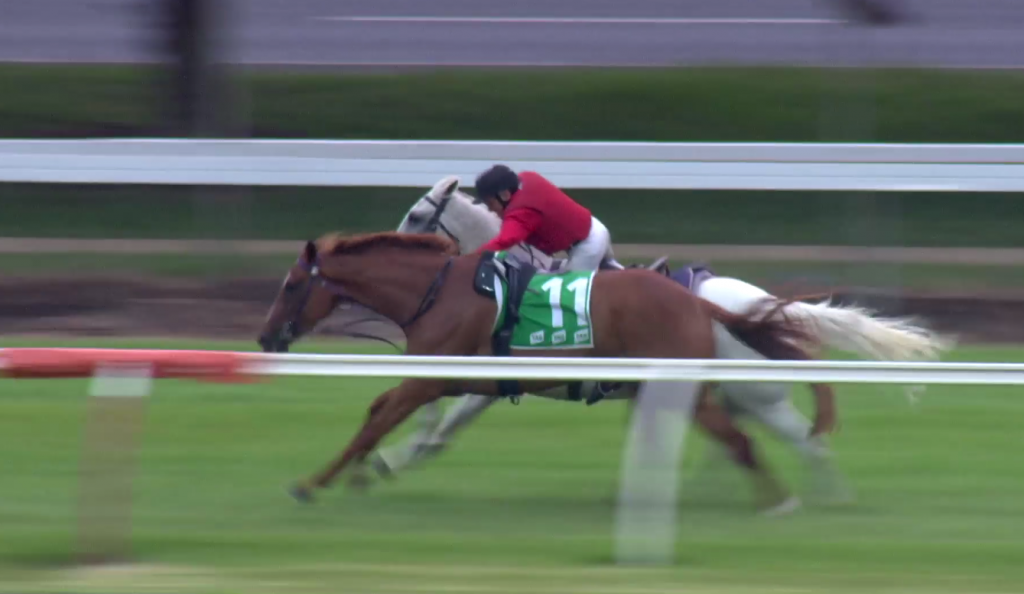 Daily Dose of Awesome: Nice Catch! | HORSE NATION