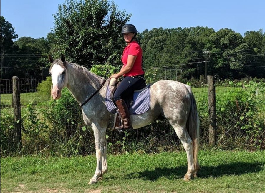Photo Challenge: 9 Readers Going Bridleless | HORSE NATION