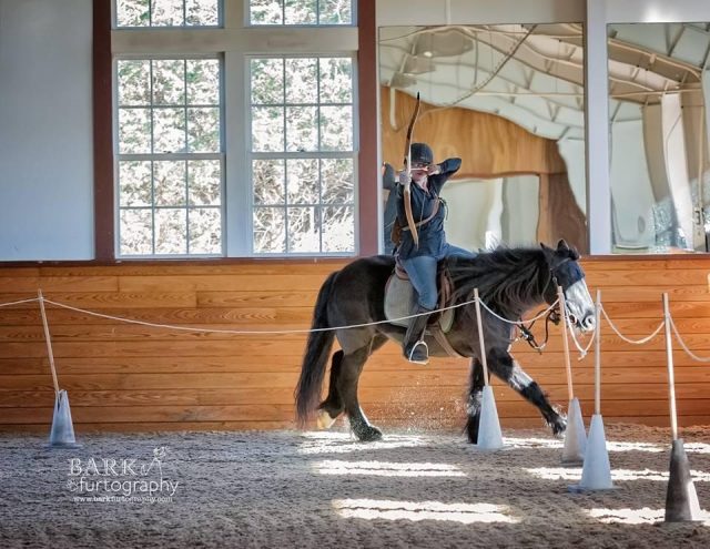 Photo Challenge: 24 Mounted Archers | HORSE NATION