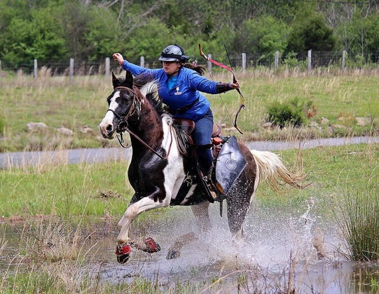 Photo Challenge: 24 Mounted Archers | HORSE NATION