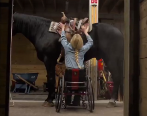 New Netflix Movie ‘Walk. Ride. Rodeo.’ Tells True Story of Amberley ...