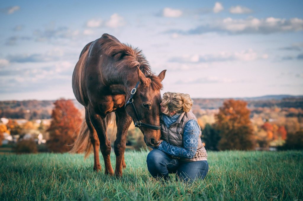 Photo Challenge: 36 Horses Feeling the Love | HORSE NATION