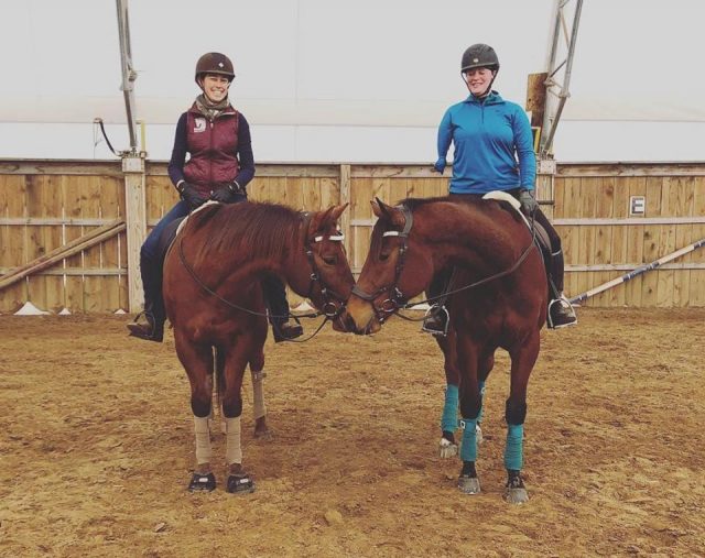 Race Horse to Ranch Horse: Cross Training | HORSE NATION