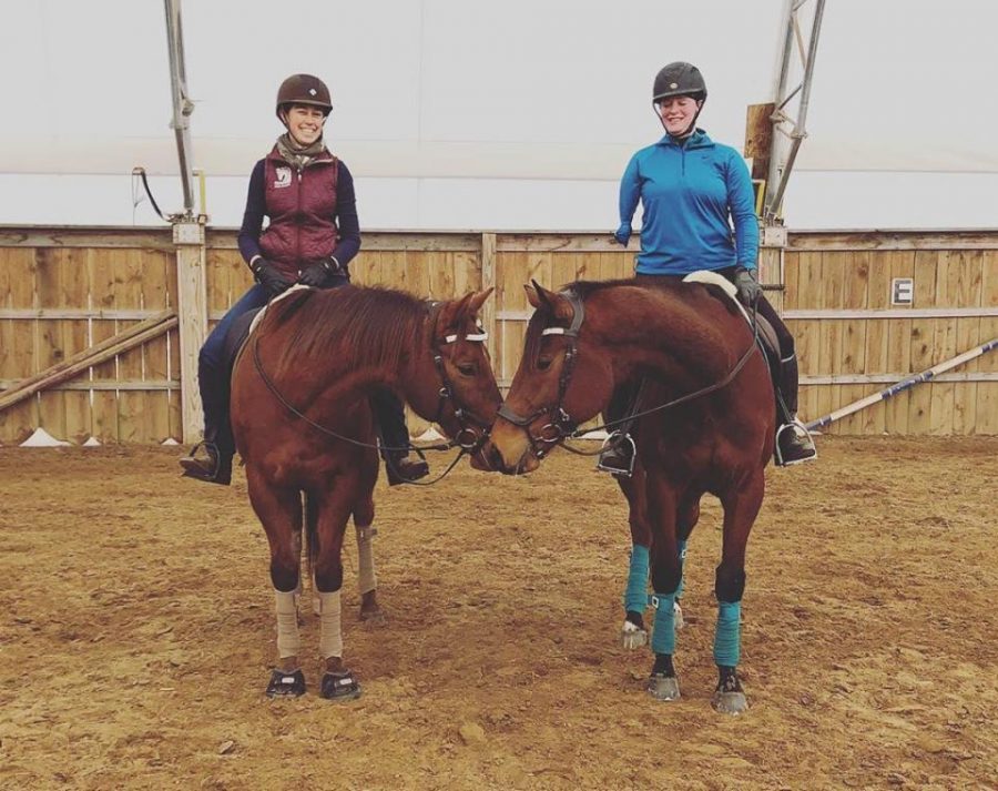 Race Horse to Ranch Horse: Cross Training | HORSE NATION