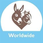 Standing Ovation by Ovation Riding | HORSE NATION