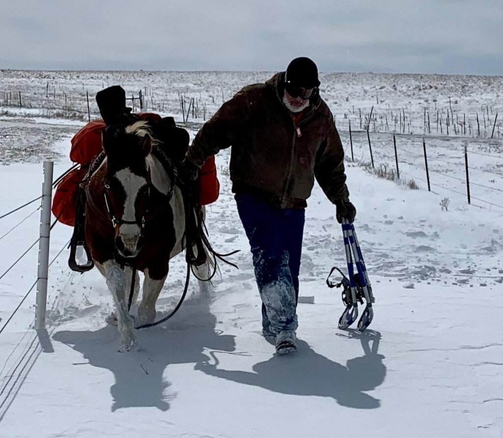 Dale Rice, D.V.M.: Healer & Hero | HORSE NATION