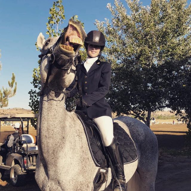 Photo Challenge: 20 Super Derpy Horse Faces | HORSE NATION