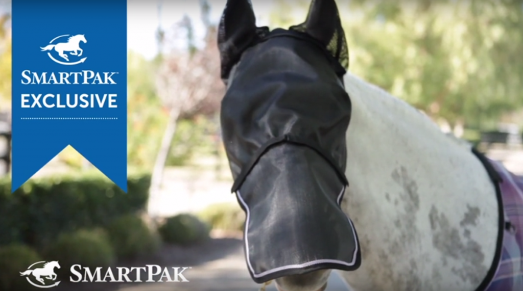 Monday PM Feed From SmartPak: Fly Mask Shopping | HORSE NATION