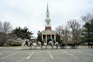 Behind the Scenes With the US Army Caisson & Caparison Platoon | HORSE ...