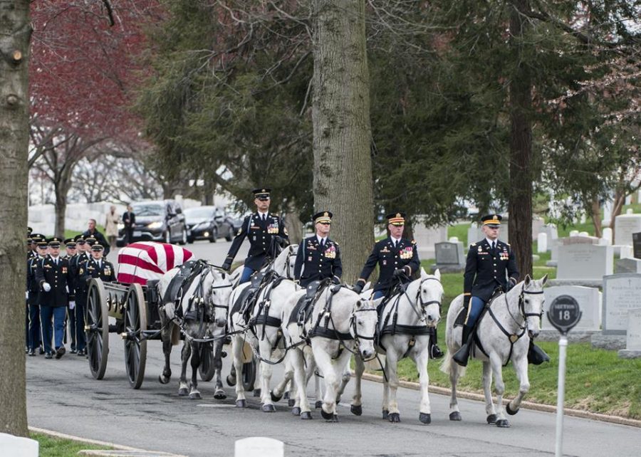 Behind the Scenes With the US Army Caisson & Caparison Platoon | HORSE ...