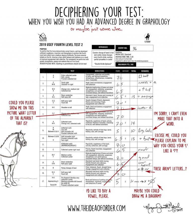 The Idea of Order: Deciphering Your Dressage Test… | HORSE NATION