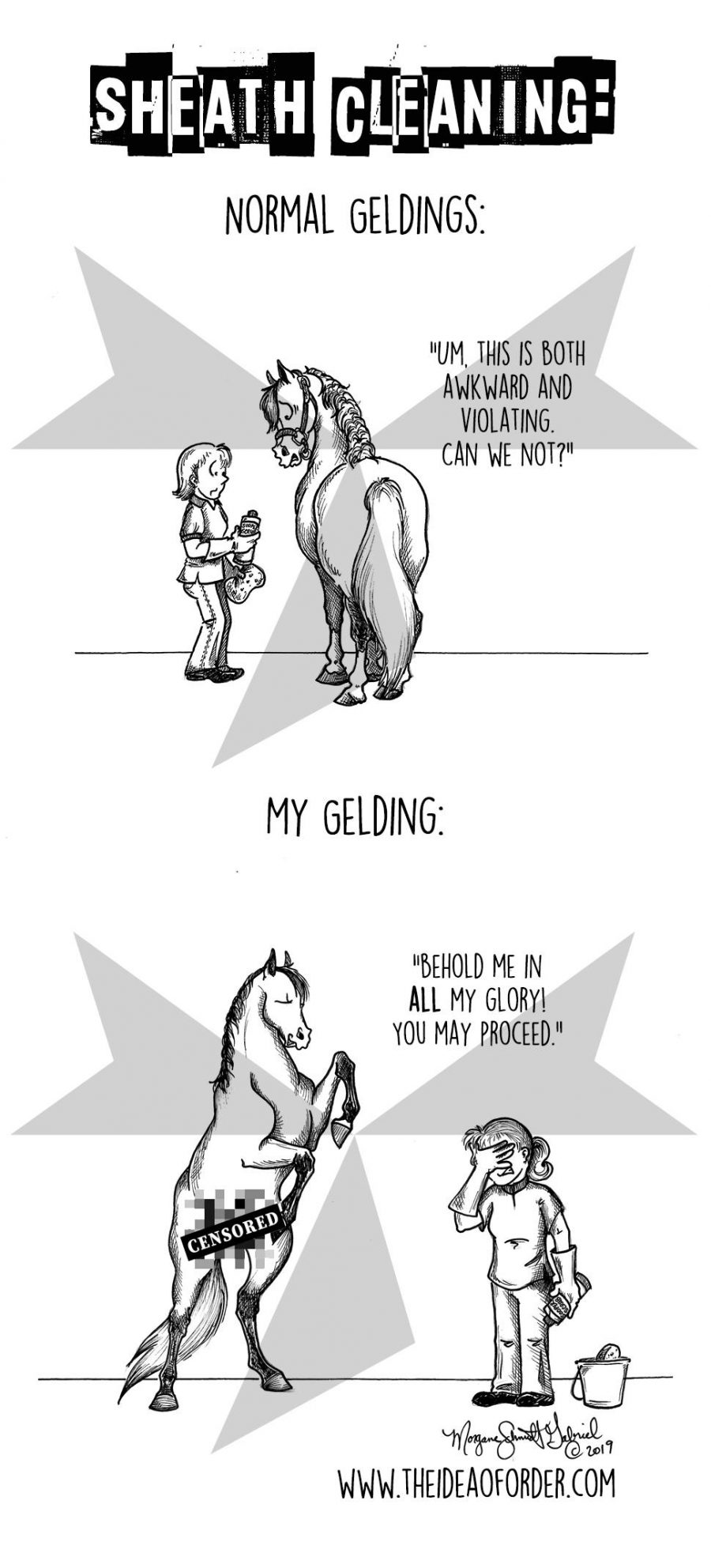 The Idea of Order: Sheath Cleaning… | HORSE NATION