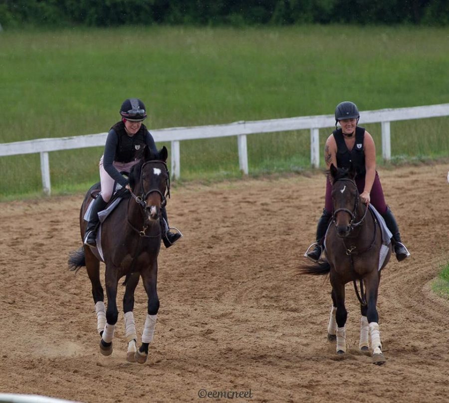 Photo Challenge: 10 Matching Horses | HORSE NATION