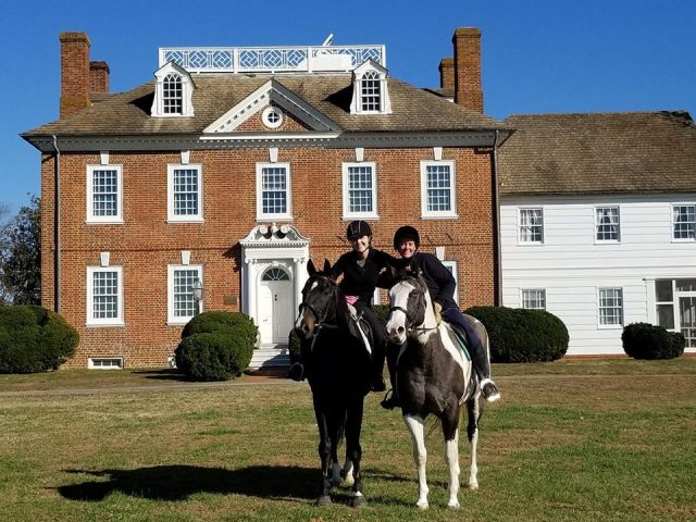 Photo Challenge: 7 Barn Friends | HORSE NATION