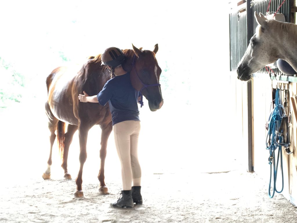 Standing Ovation by Ovation Riding: Freedom Reigns Ranch | HORSE NATION