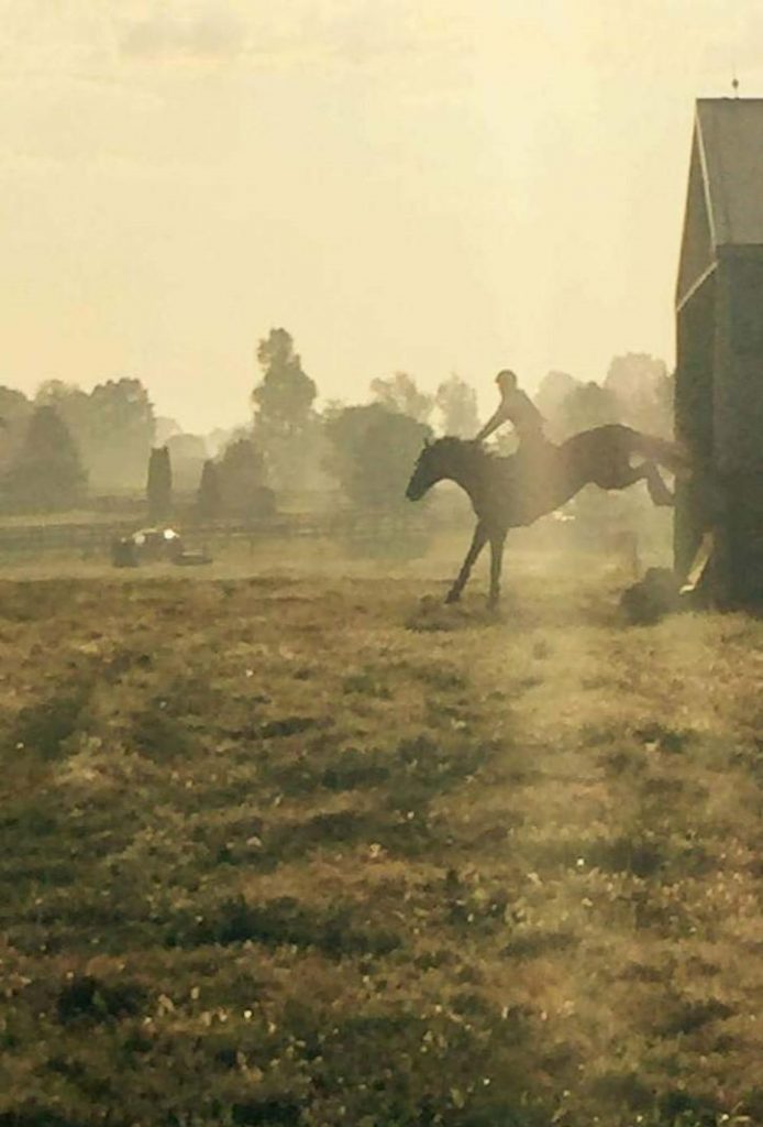 Grassroots, Public Access And A Venue For All: Flying Cross Horse Park ...