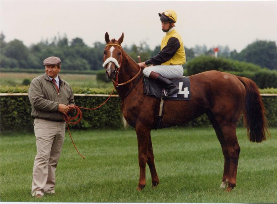 Thoroughbred Racing Industry Reaches a Pivotal Moment | HORSE NATION