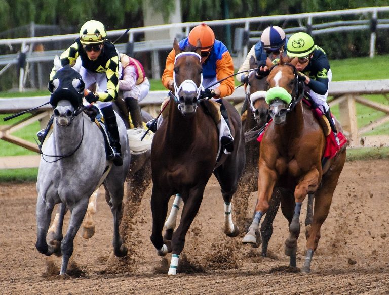 Thoroughbred Racing Industry Reaches a Pivotal Moment | HORSE NATION