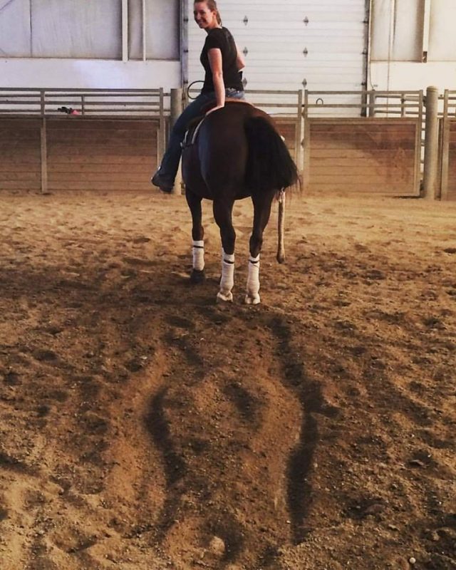 Photo Challenge: 26 Equine Rear-End Views | HORSE NATION