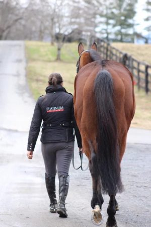 Photo Challenge: 26 Equine Rear-End Views | HORSE NATION