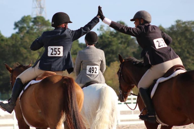 Photo Challenge: Teamwork Making the Dream Work | HORSE NATION