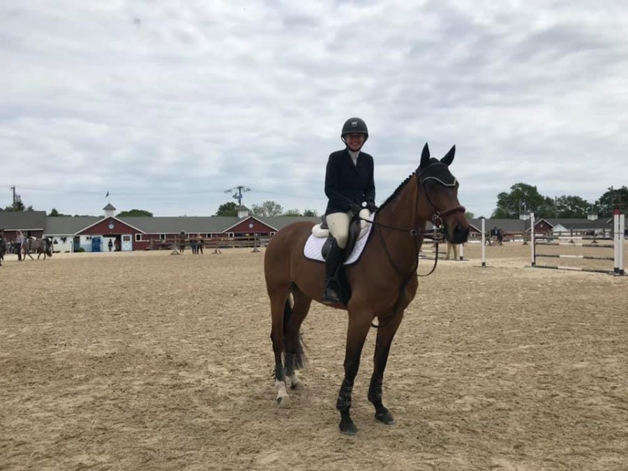 Stories of Standardbreds, Part VI: High Standards | HORSE NATION