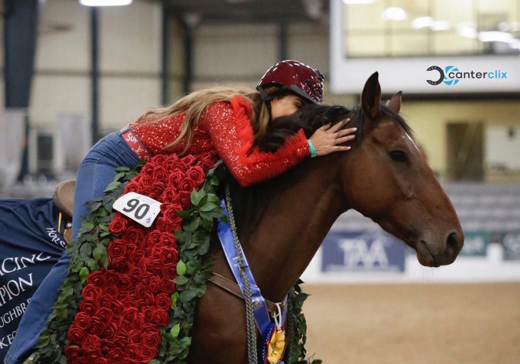 Cowboy Swagger Is 2019 Thoroughbred Makeover Champion With Fallon ...