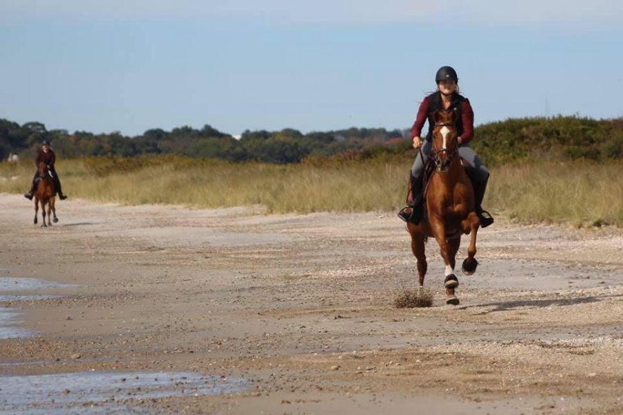 Photo Challenge: 15 Fall Scenery Snapshots | HORSE NATION