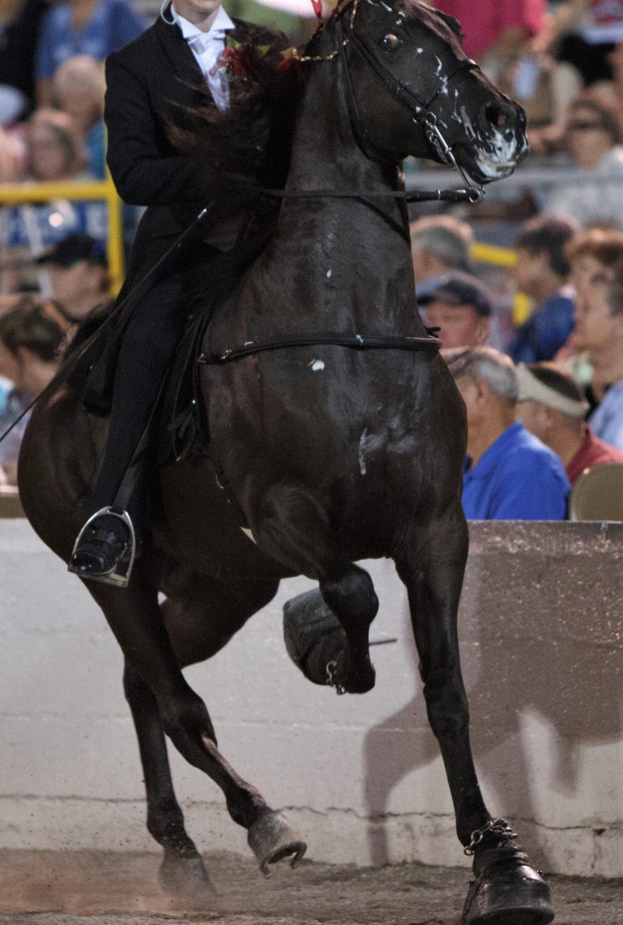 Editorial: Sen. Alexander’s “Dance around the Truth” of the PAST Act ...