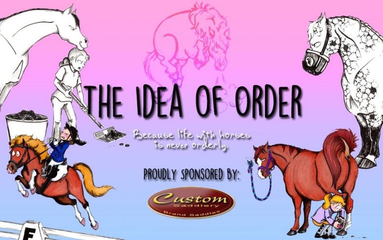 The Idea of Order: The Canter Aid | HORSE NATION