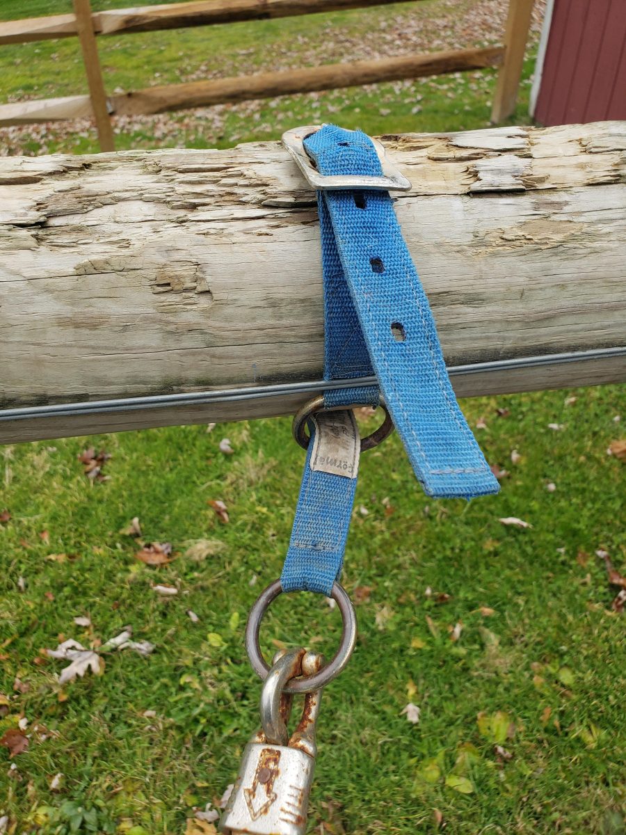 #TBT: Barn Hacks for Broken Halters | HORSE NATION