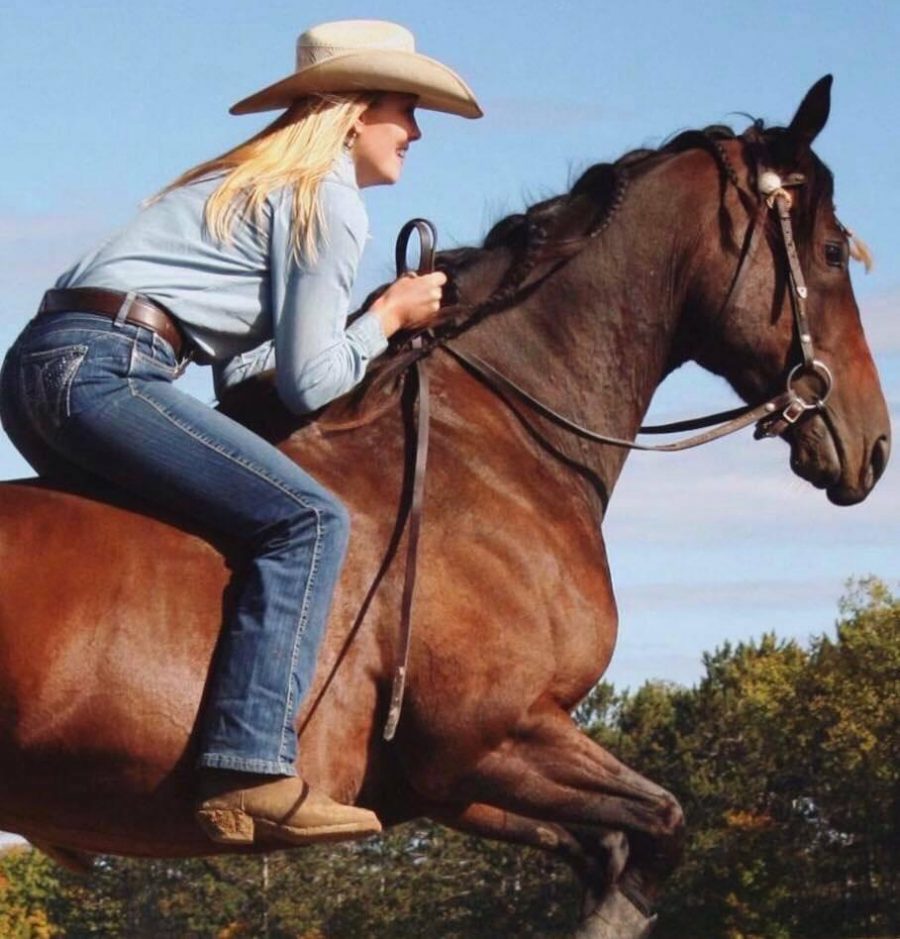 Standing Ovation by Ovation Riding: The Western Thoroughbred | HORSE NATION
