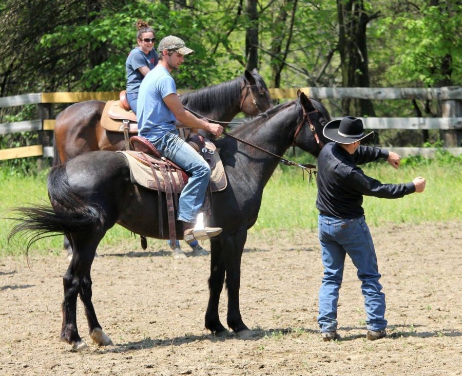 5 Keys to a Successful Partnership With Your Horse | HORSE NATION