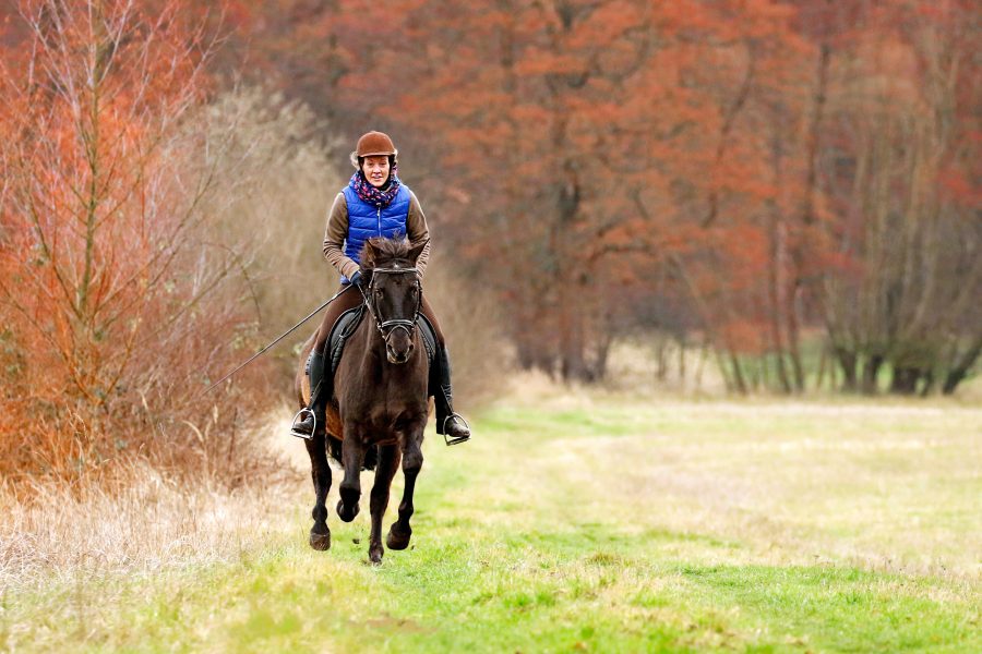 10 (More) Life Lessons From Horses | HORSE NATION