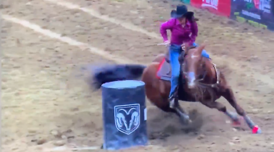 #BARREL RACING | HORSE NATION