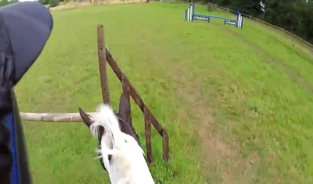 Wednesday Helmet Cam: Refusing to Jump | HORSE NATION
