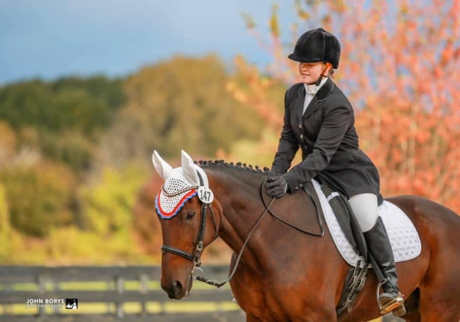 Photo Challenge: 32 Readers Showing Some Love | HORSE NATION