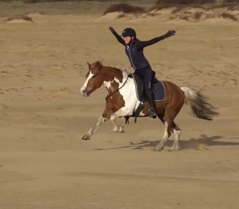 Ecovet Presents Mind Your Melon: Bridleless Galloping | HORSE NATION