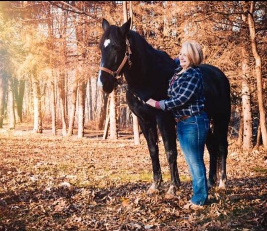 Rehabbing Funny Bunny B’s Injury: Catch Riding | HORSE NATION