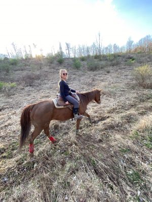 Rehabbing Funny Bunny B’s Injury: Light Riding | HORSE NATION