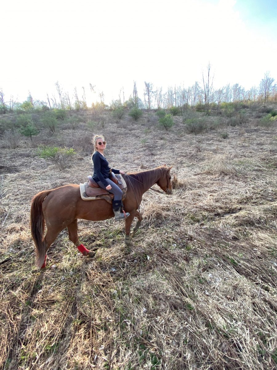 Rehabbing Funny Bunny B’s Injury: Light Riding | HORSE NATION