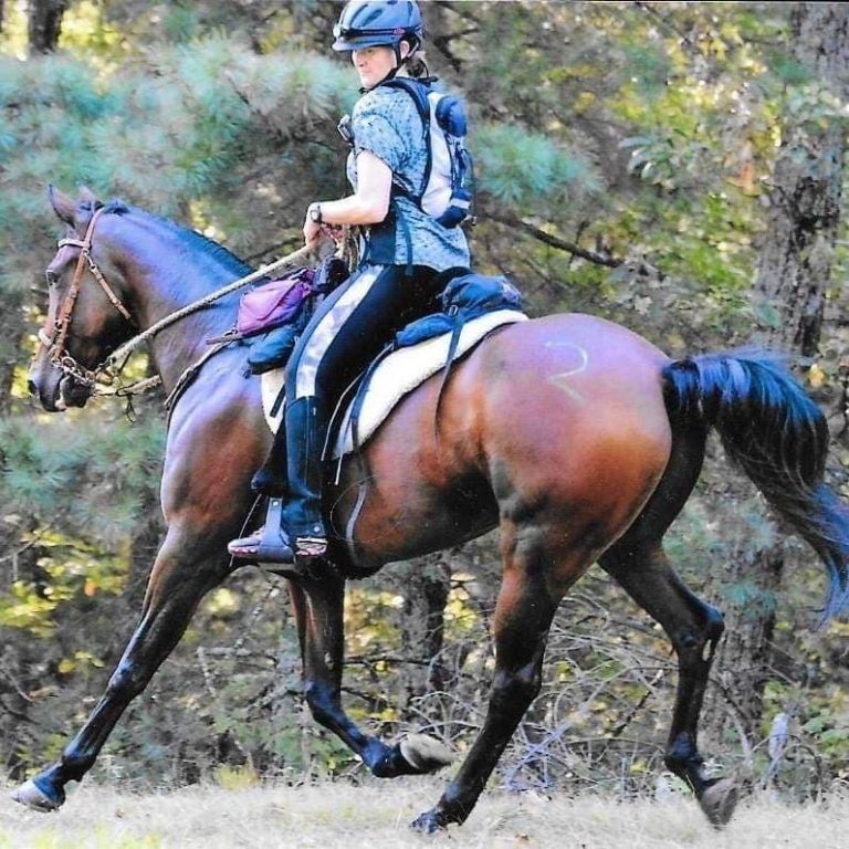 Stories of Standardbreds Part XVI: Patricia and Eli | HORSE NATION