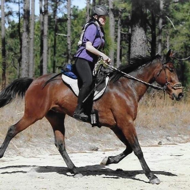 Stories of Standardbreds Part XVI: Patricia and Eli | HORSE NATION