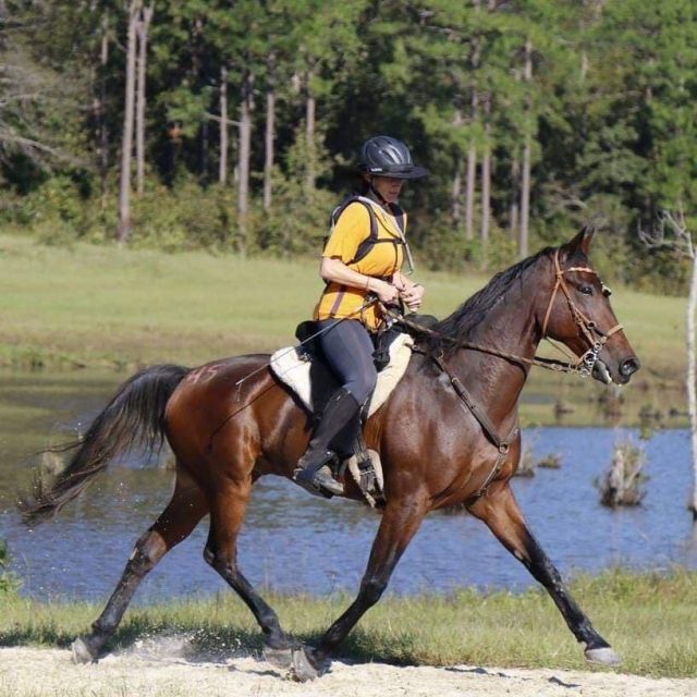 Stories of Standardbreds Part XVI: Patricia and Eli | HORSE NATION